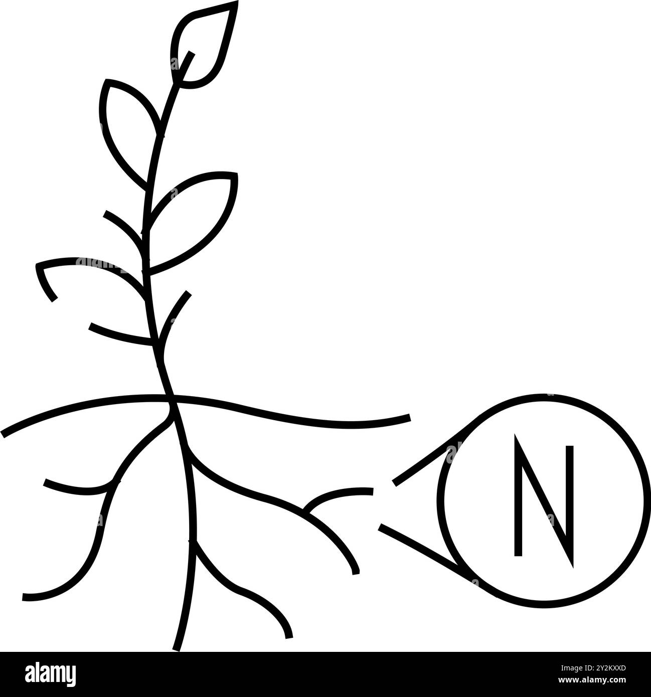 nitrogen fixation environmental line icon vector illustration Stock ...
