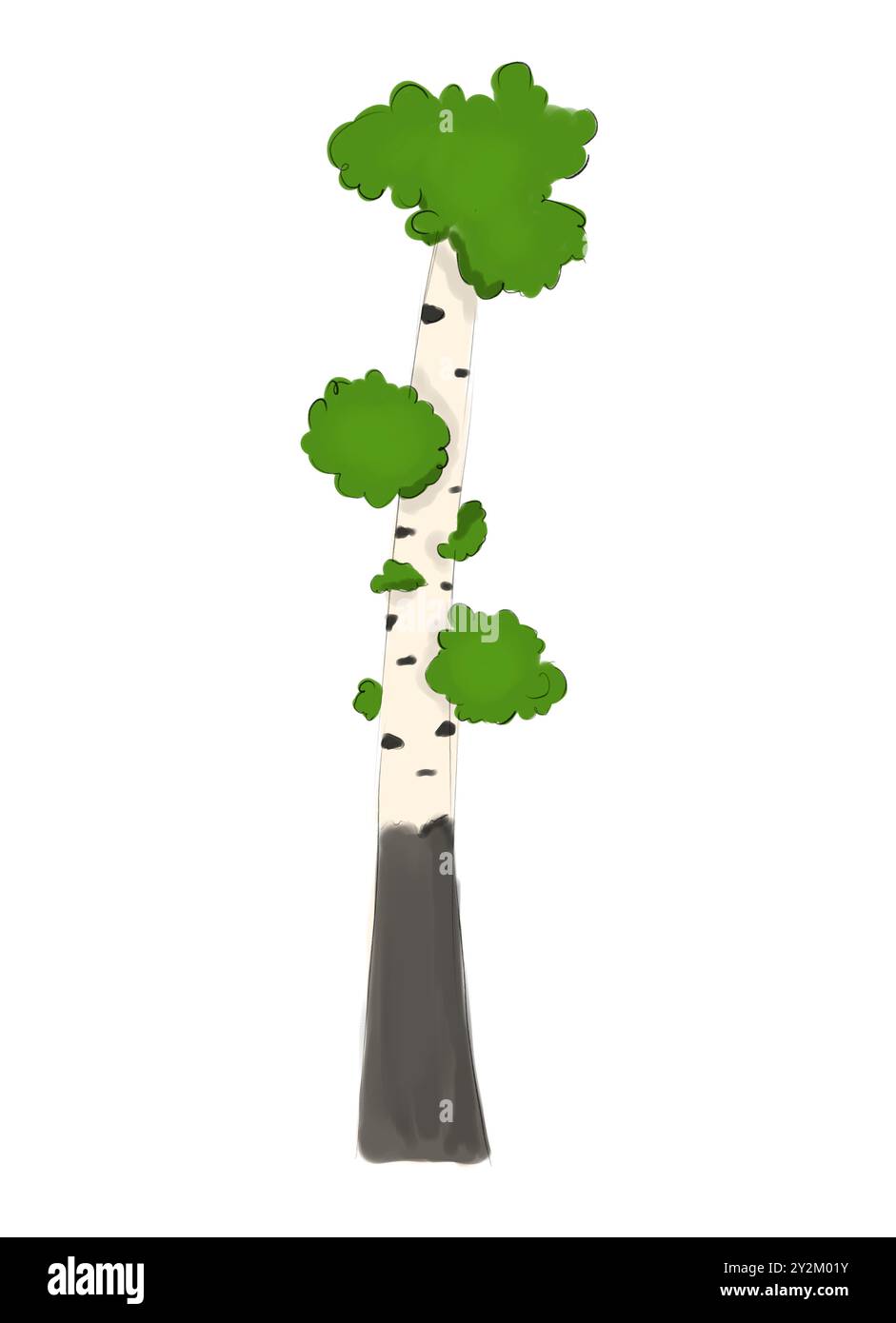 The birch tree element isolated illustration Stock Photo - Alamy