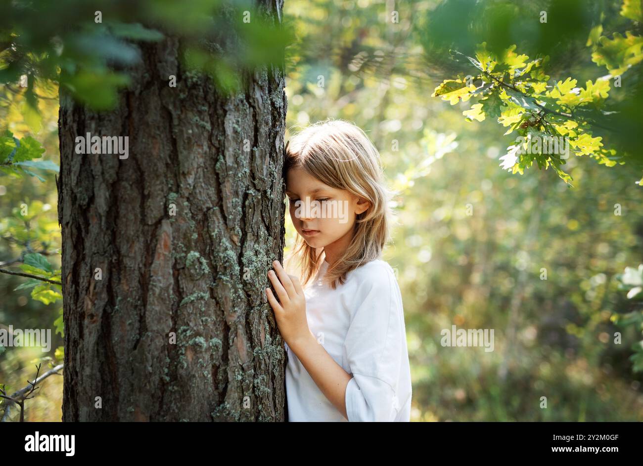 A teenage girl hugs a tree in the forest. Hugging and touching trees to ...