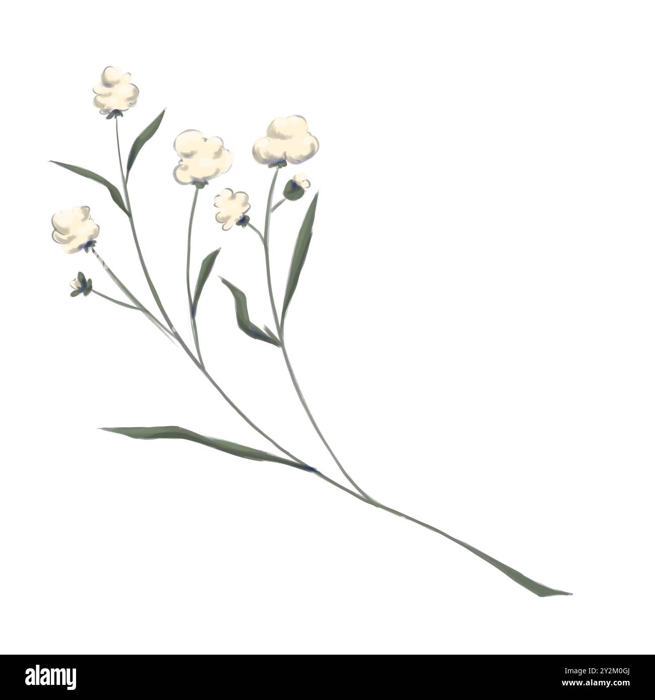 Wild flowers twig green Cut Out Stock Images & Pictures - Alamy