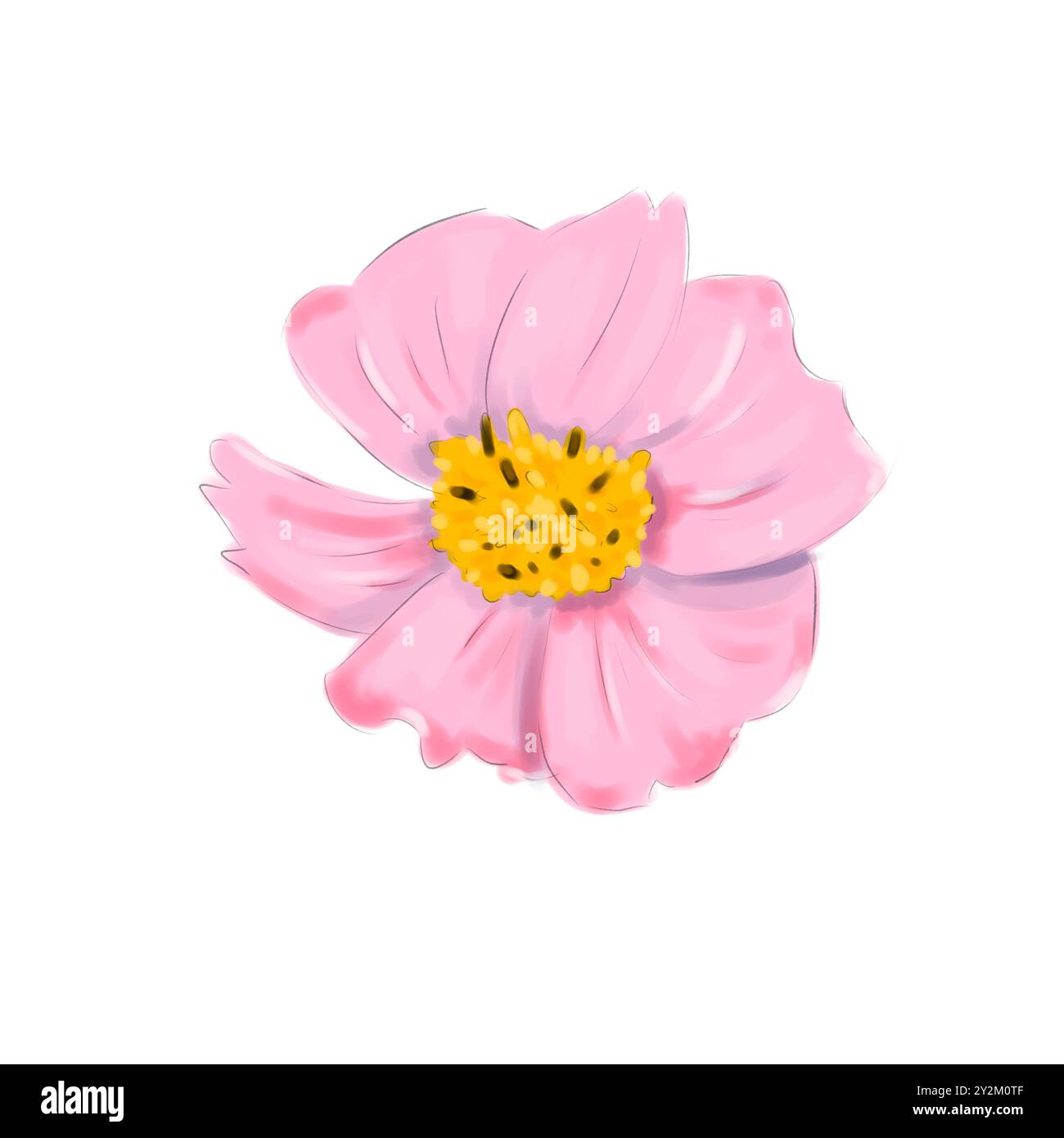 Yellow center Cut Out Stock Images & Pictures - Alamy