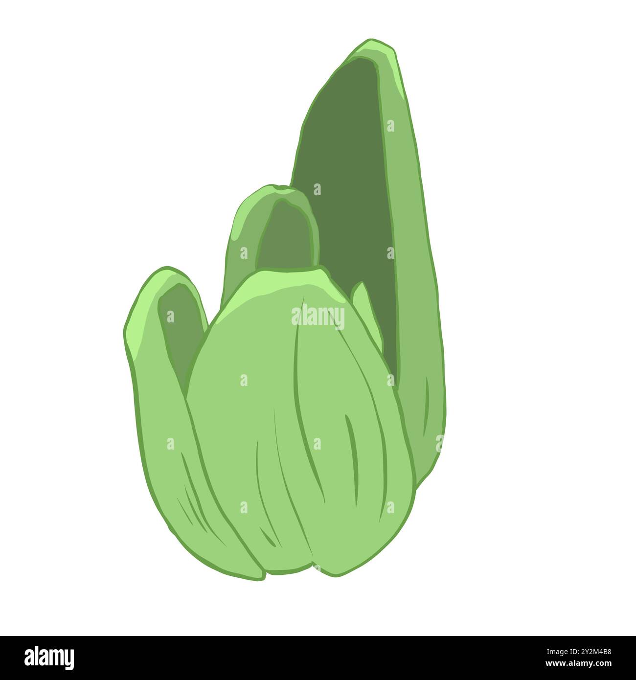 Succulent plant sprout, flat style illustration Stock Photo - Alamy