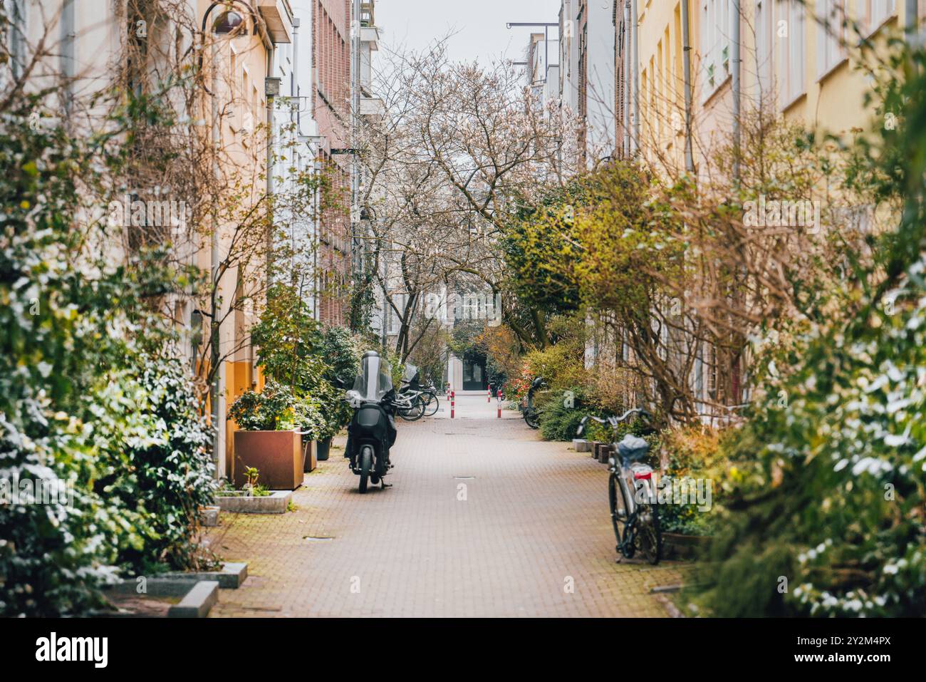 Small city street with greenery. Parked bicycles and motorcycles ...