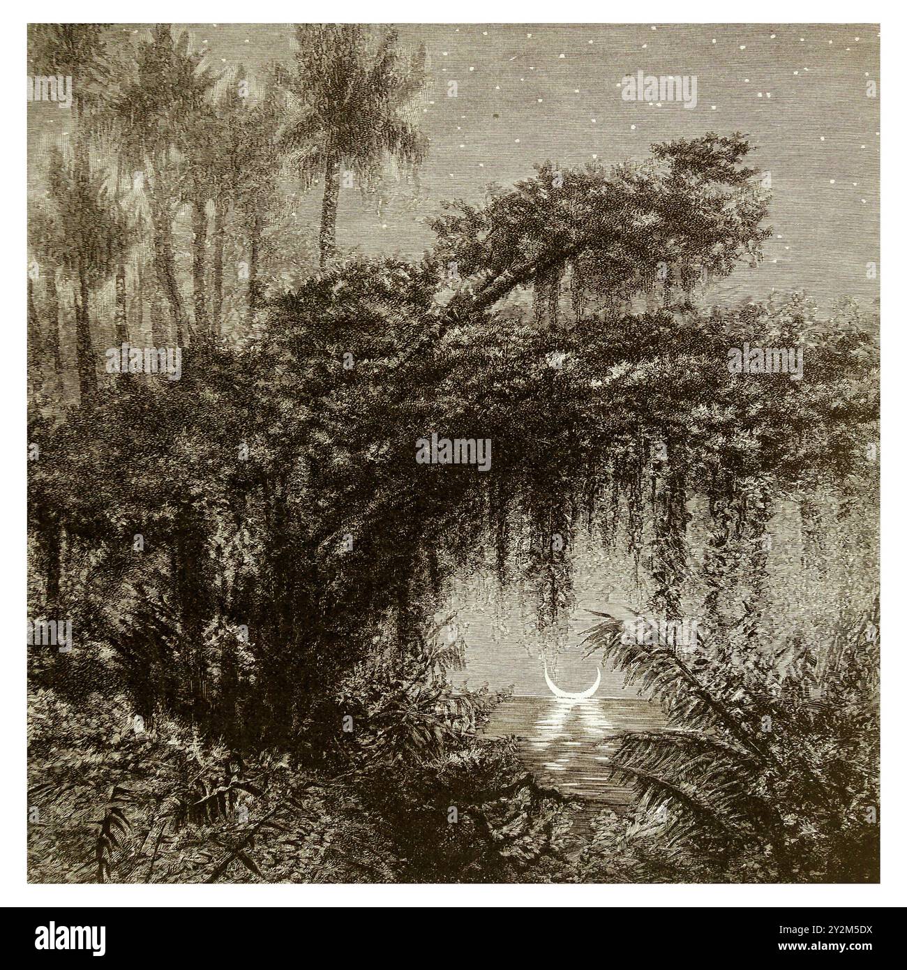 Illustration depicting the setting of the crescent Moon from 1875 Stock ...