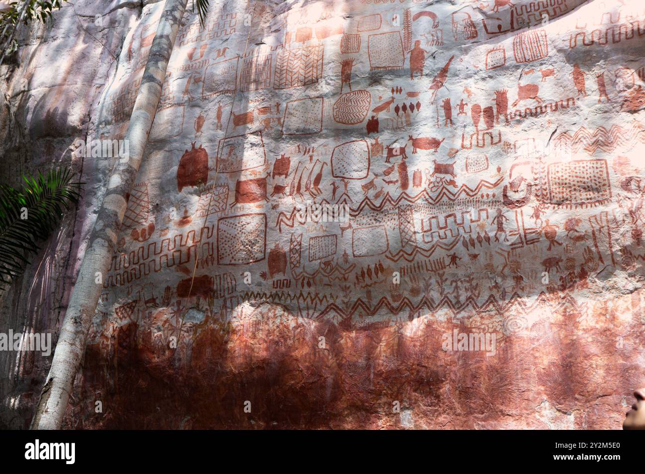 Prehistoric rock paintings, Chiribiquete Natural Park, Colombia Stock ...