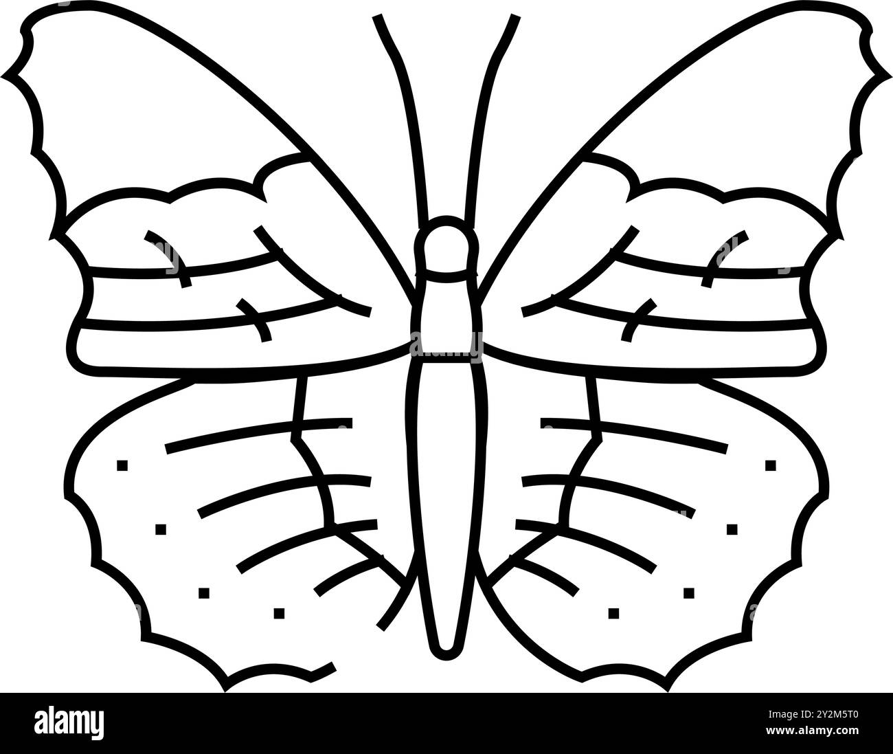 painted lady summer line icon vector illustration Stock Vector Image ...