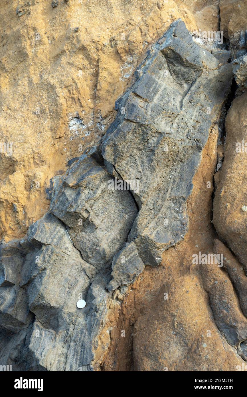 Basalt dike with flow banding and chilled margin cutting palagonite ...