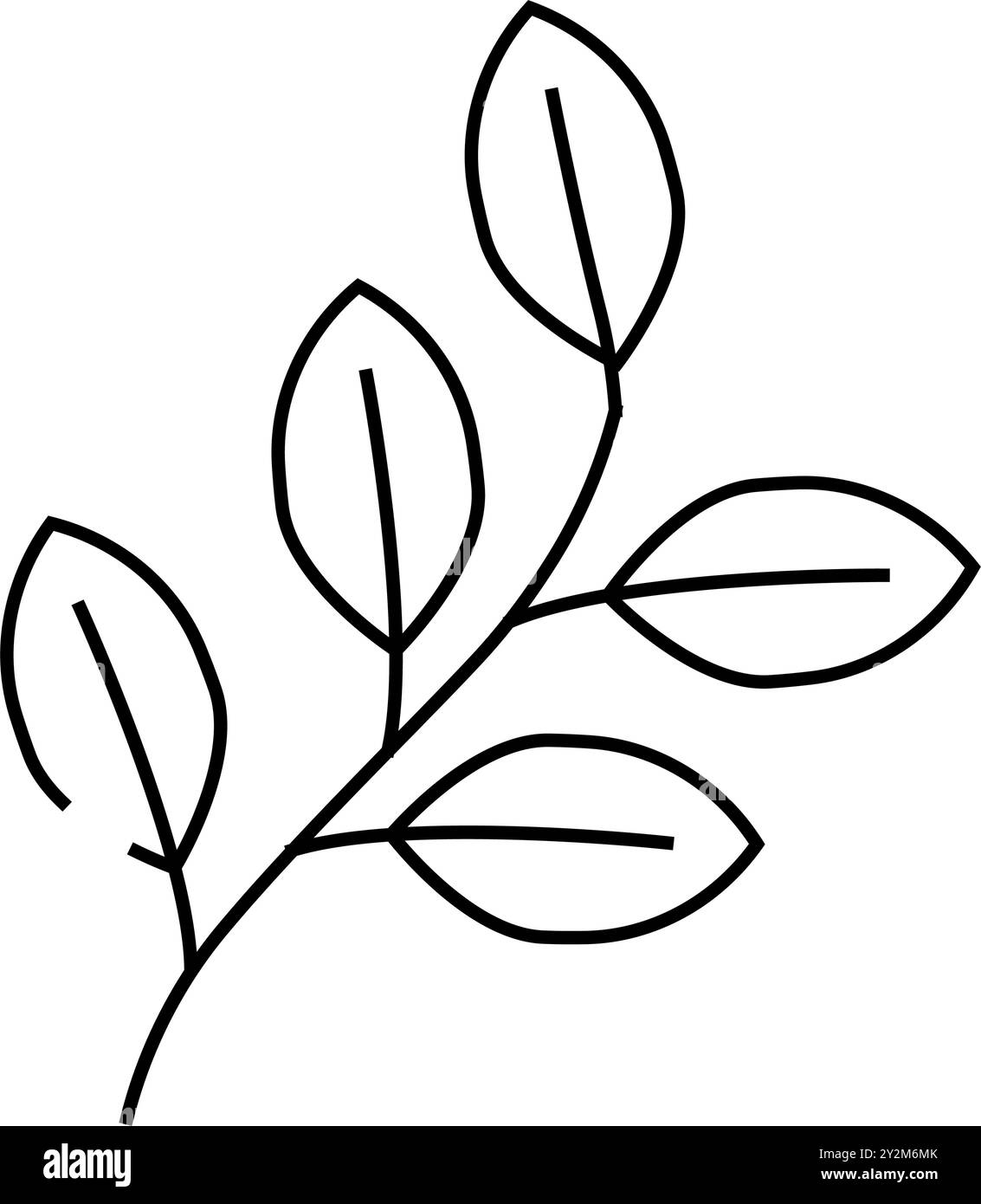 Sakaki tree hi-res stock photography and images - Alamy