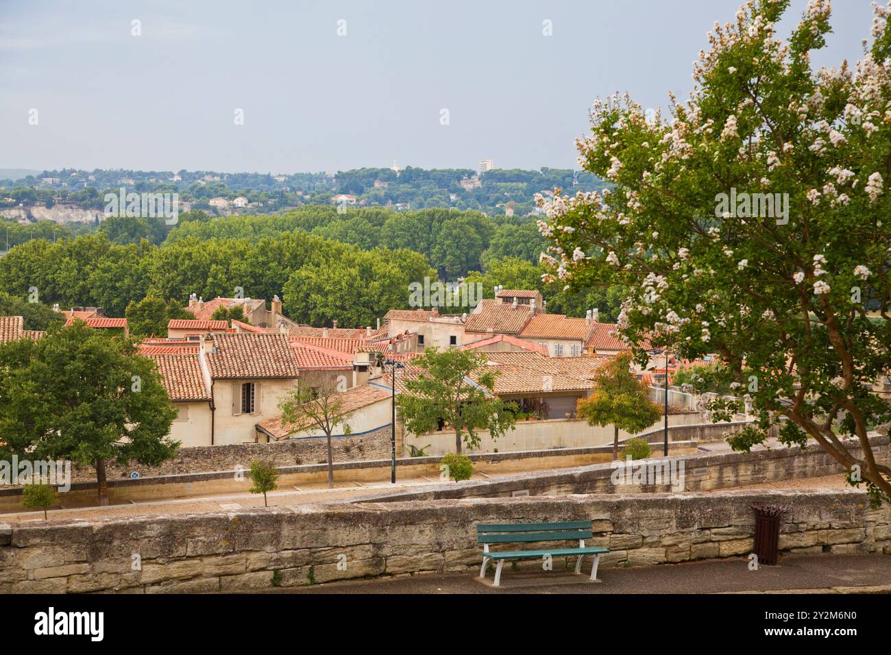 Avignon Bridge with Popes Palace and Rhone river, Provence, France ...
