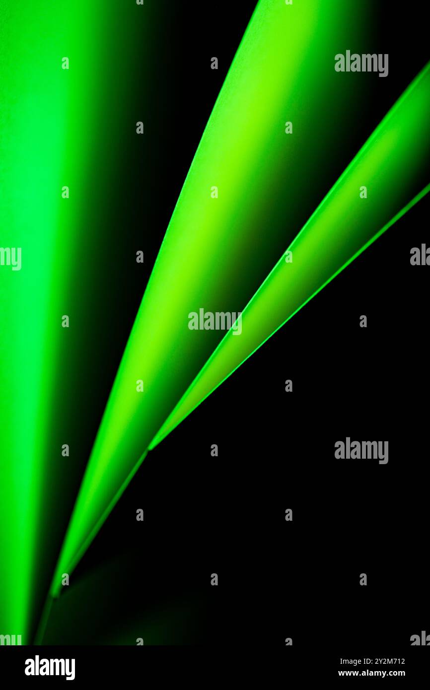 Curved shapes in vibrant green and black blend together harmoniously ...