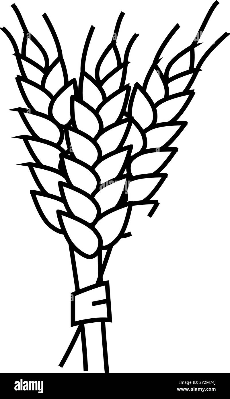ear barley harvest line icon vector illustration Stock Vector Image ...
