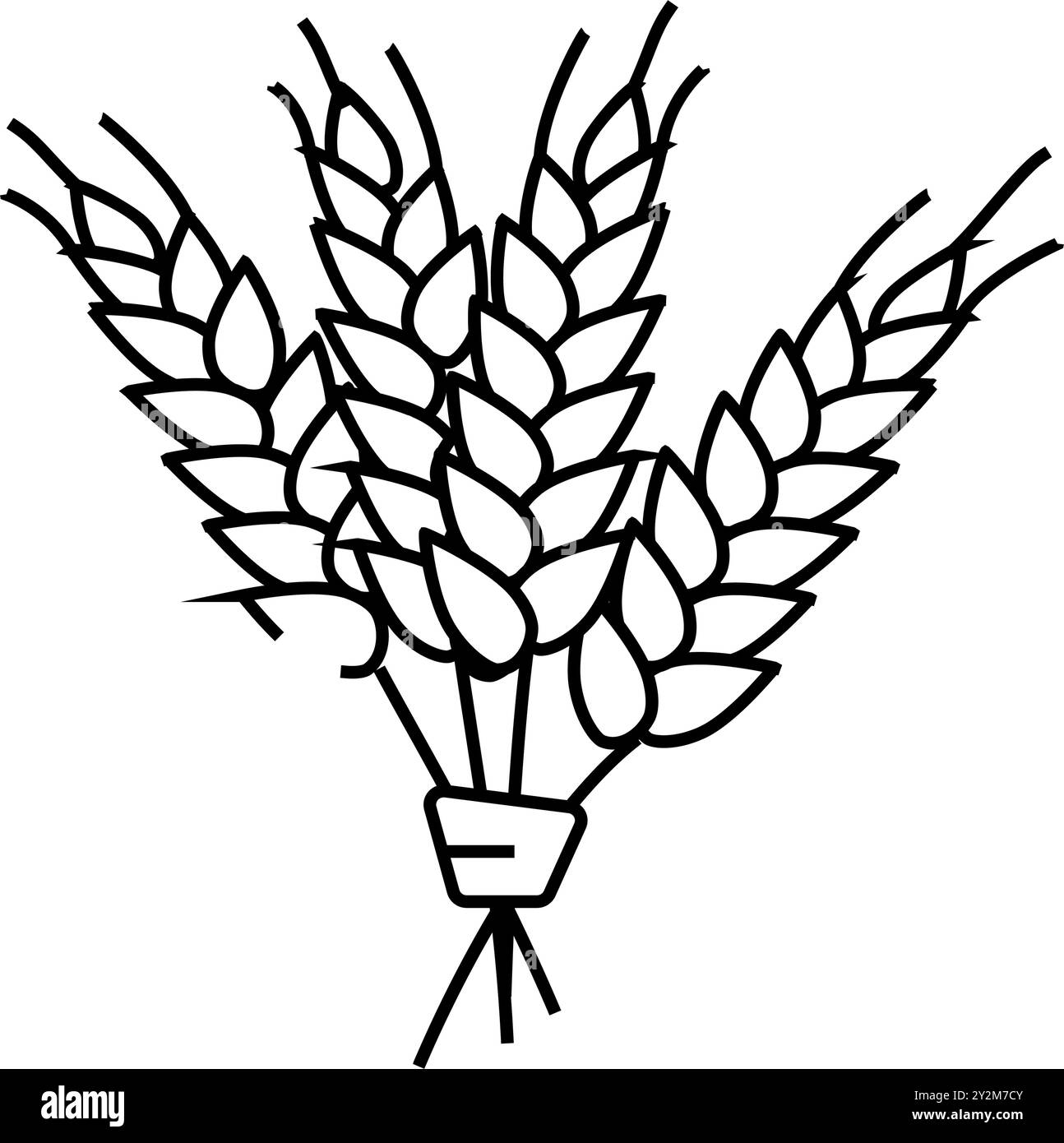 Barley rice wheat grains Black and White Stock Photos & Images - Alamy