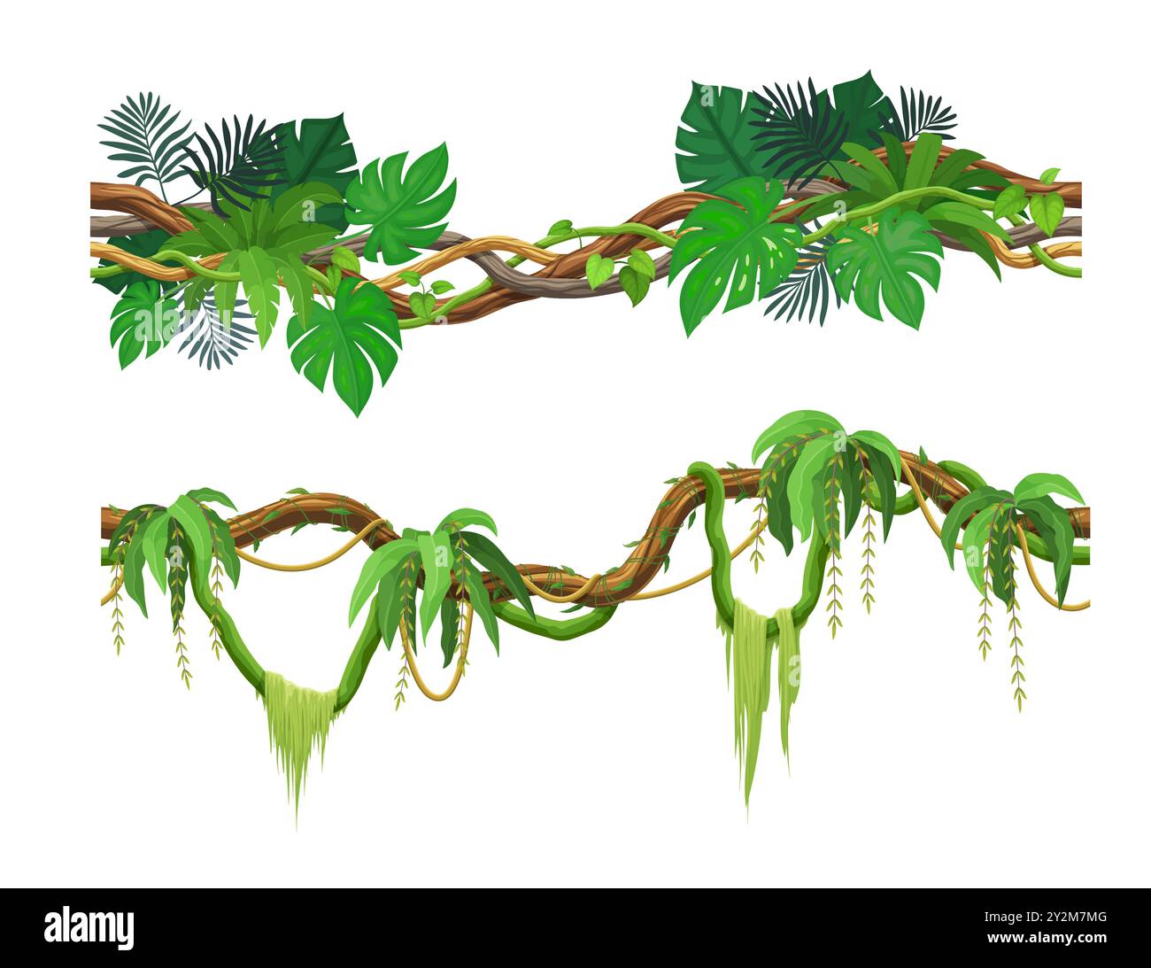Tropical jungle forest liana branch. Cartoon vector rainforest vines ...
