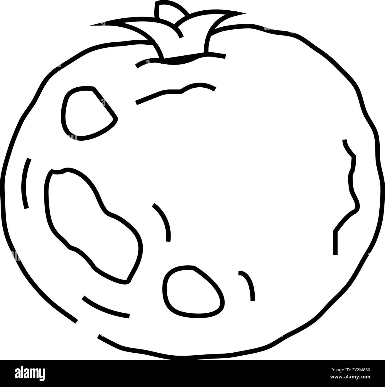 tomato rotten food line icon vector illustration Stock Vector Image ...