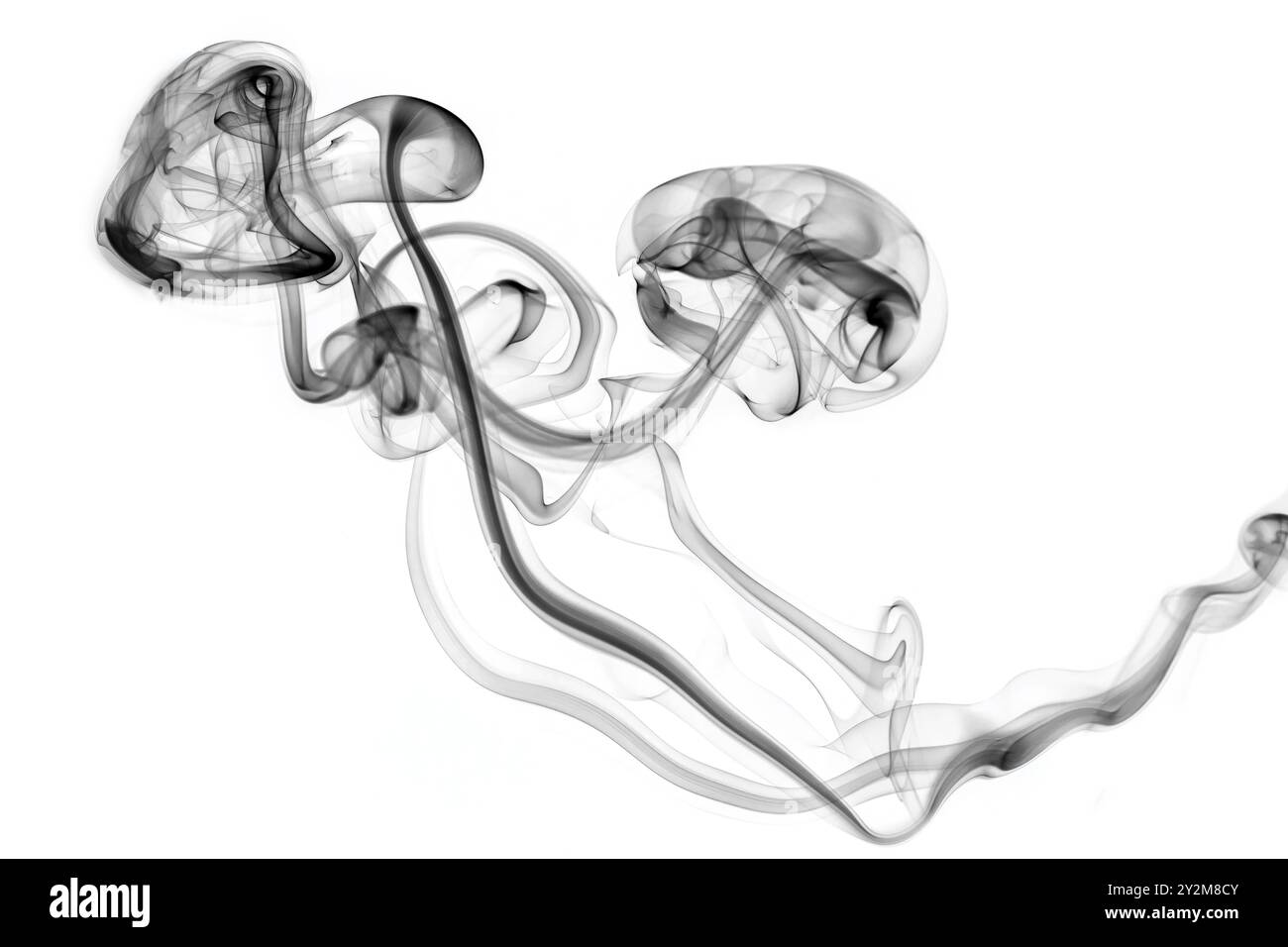 Intricate black and white smoke swirls gracefully on a white background ...