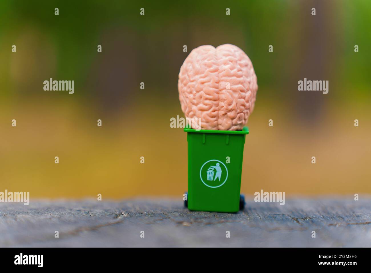 Placed in a small green hi-res stock photography and images - Alamy