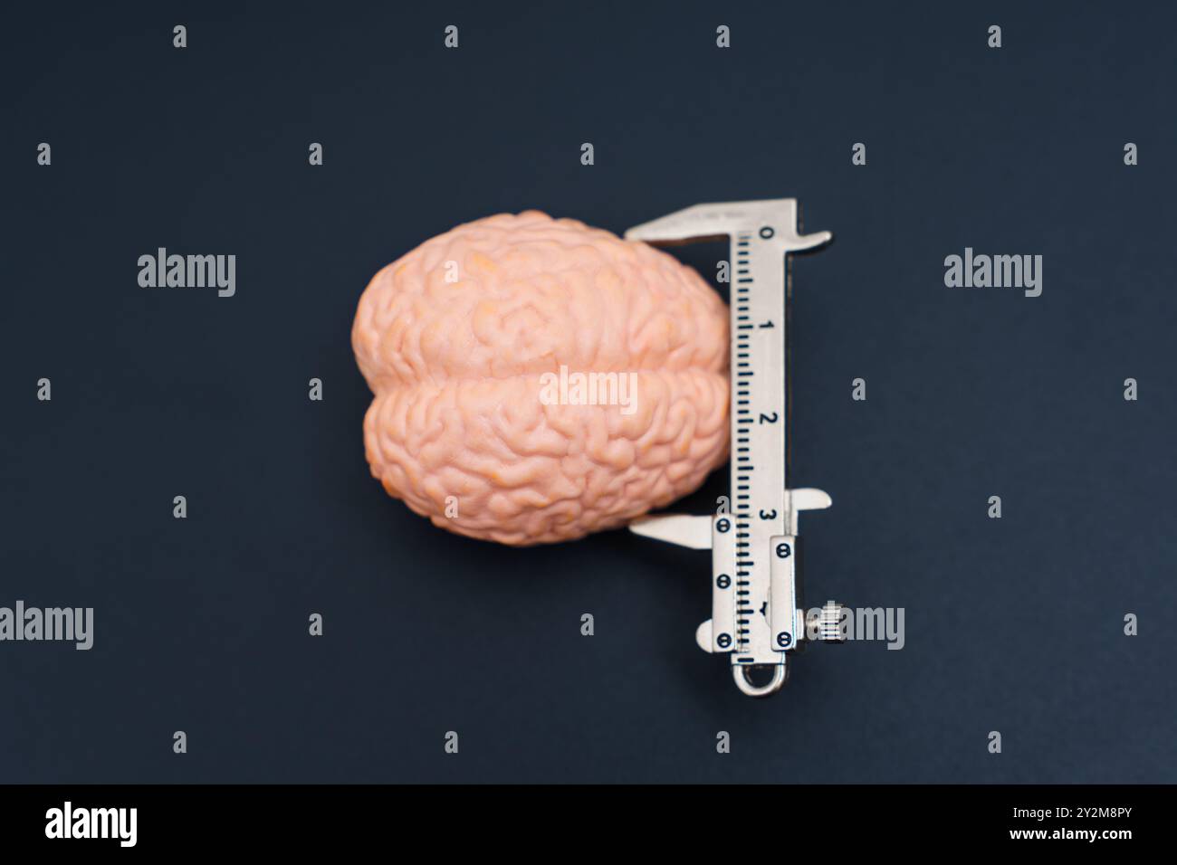 Cognitive measurement hi-res stock photography and images - Alamy