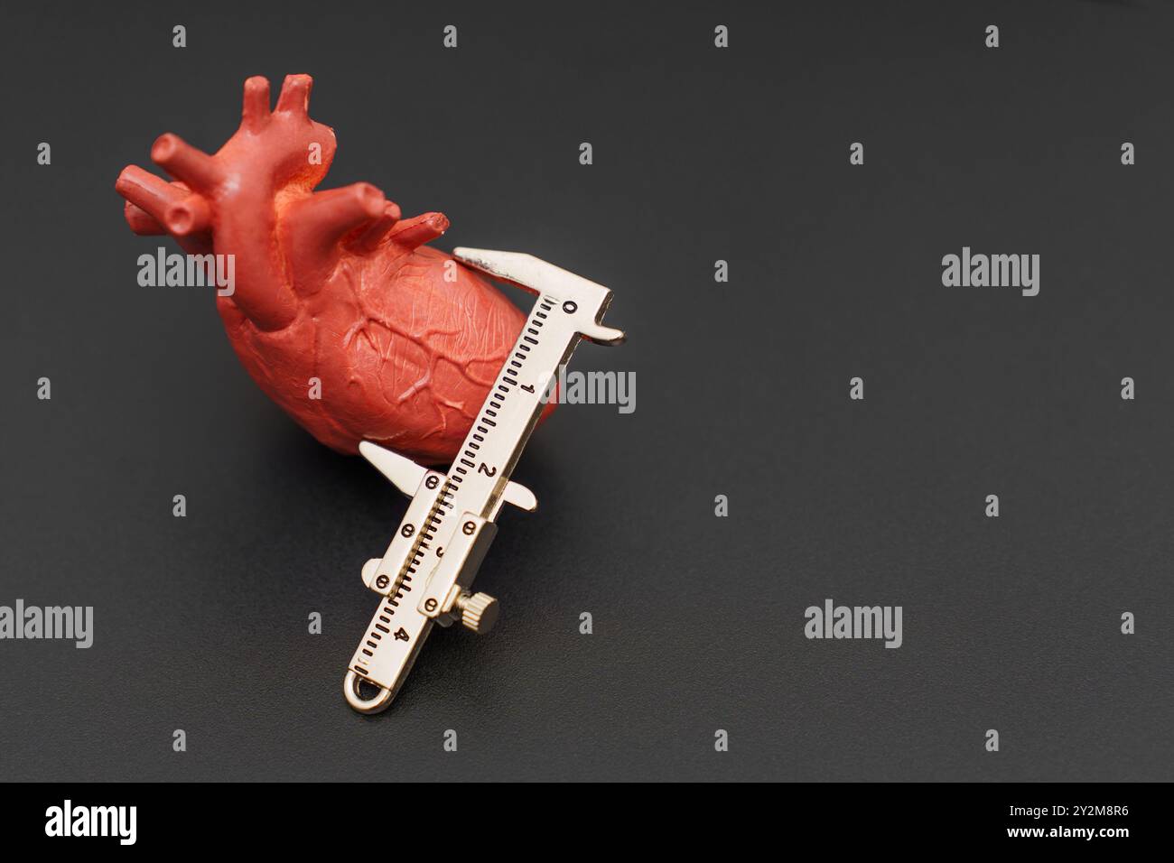 Heart model viewed with caliper tool for precise measurement ...