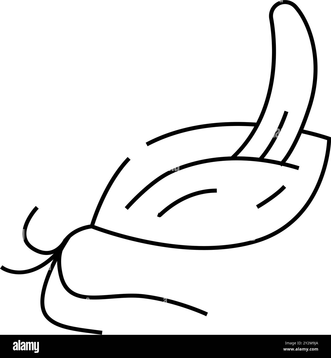 malt barley line icon vector illustration Stock Vector Image & Art - Alamy