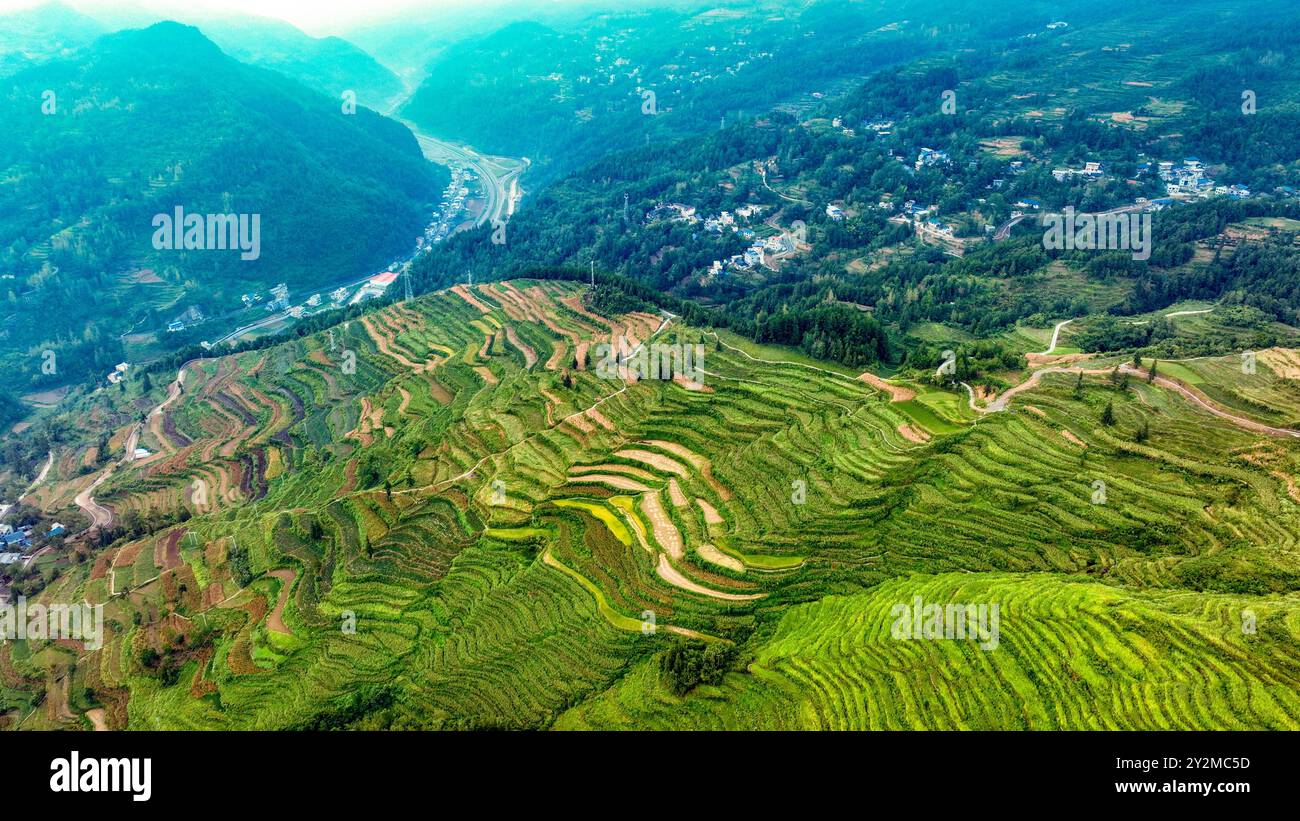 Aerial photo shows the scenery of terraced fields in Youyang Tujia and ...