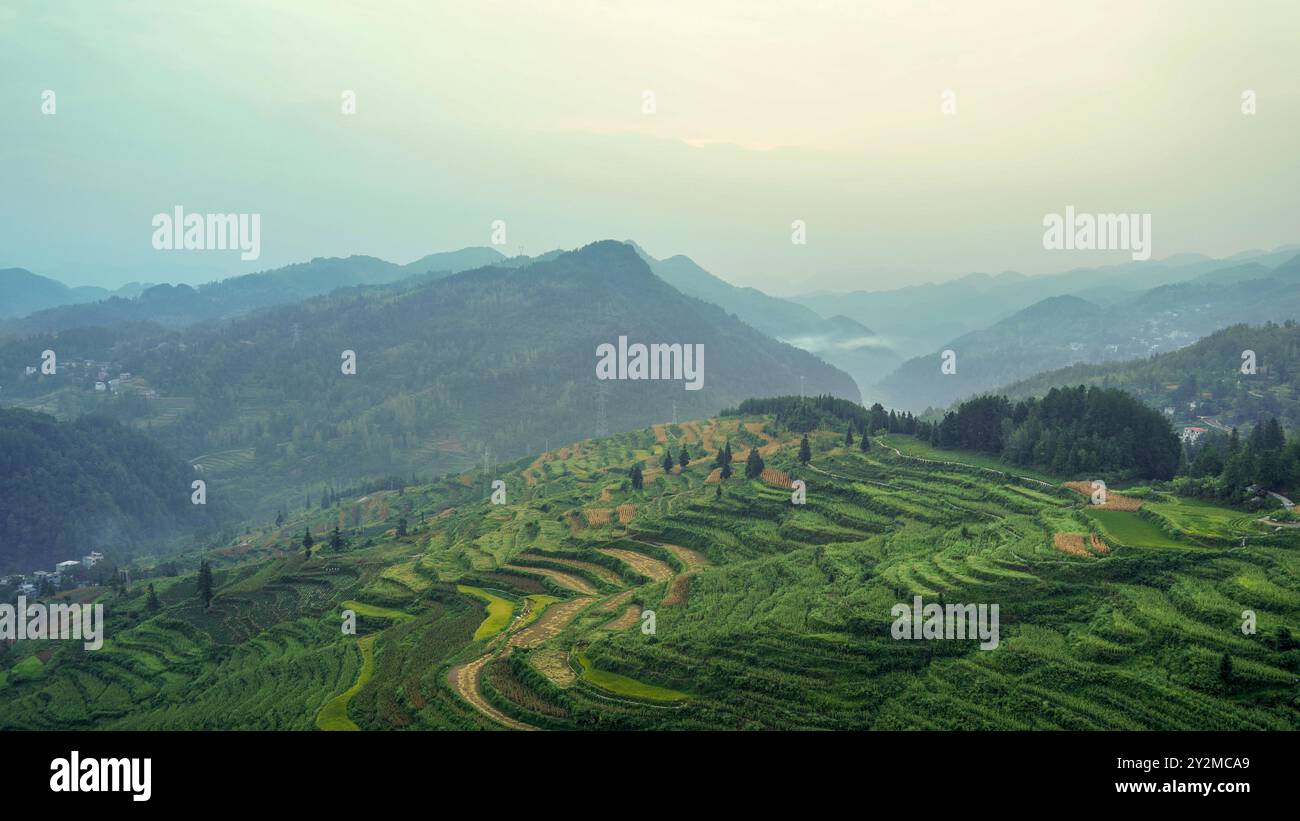 Aerial photo shows the scenery of terraced fields in Youyang Tujia and ...