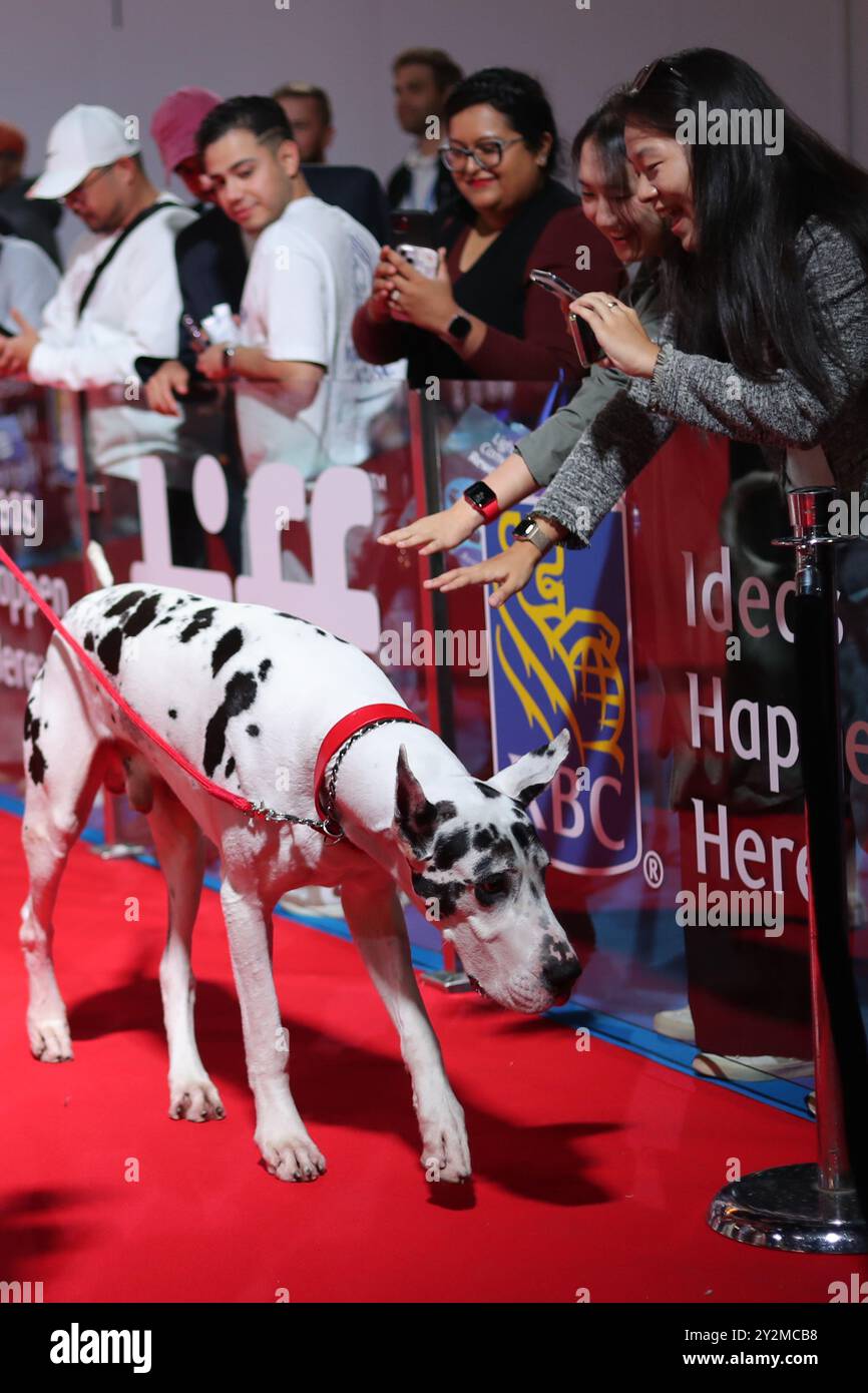 Bing the Dog attends the premiere of 'The Friend' during the 2024 ...