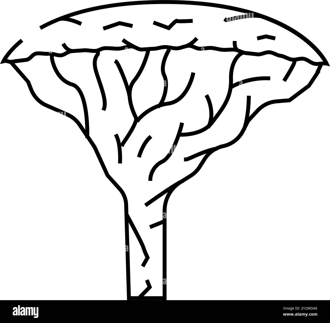 dragon blood tree line icon vector illustration Stock Vector Image ...