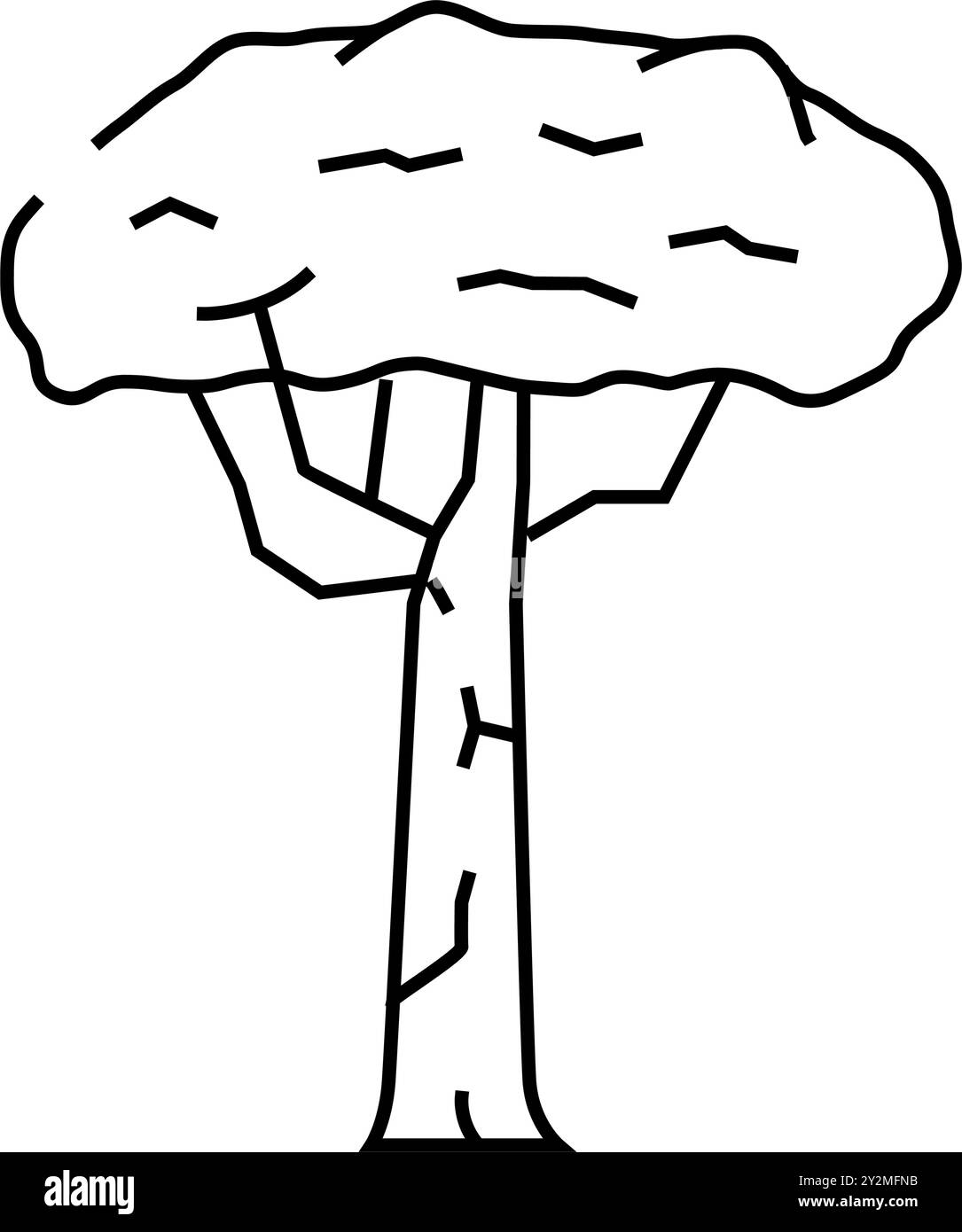 brazil nut tree line icon vector illustration Stock Vector Image & Art ...