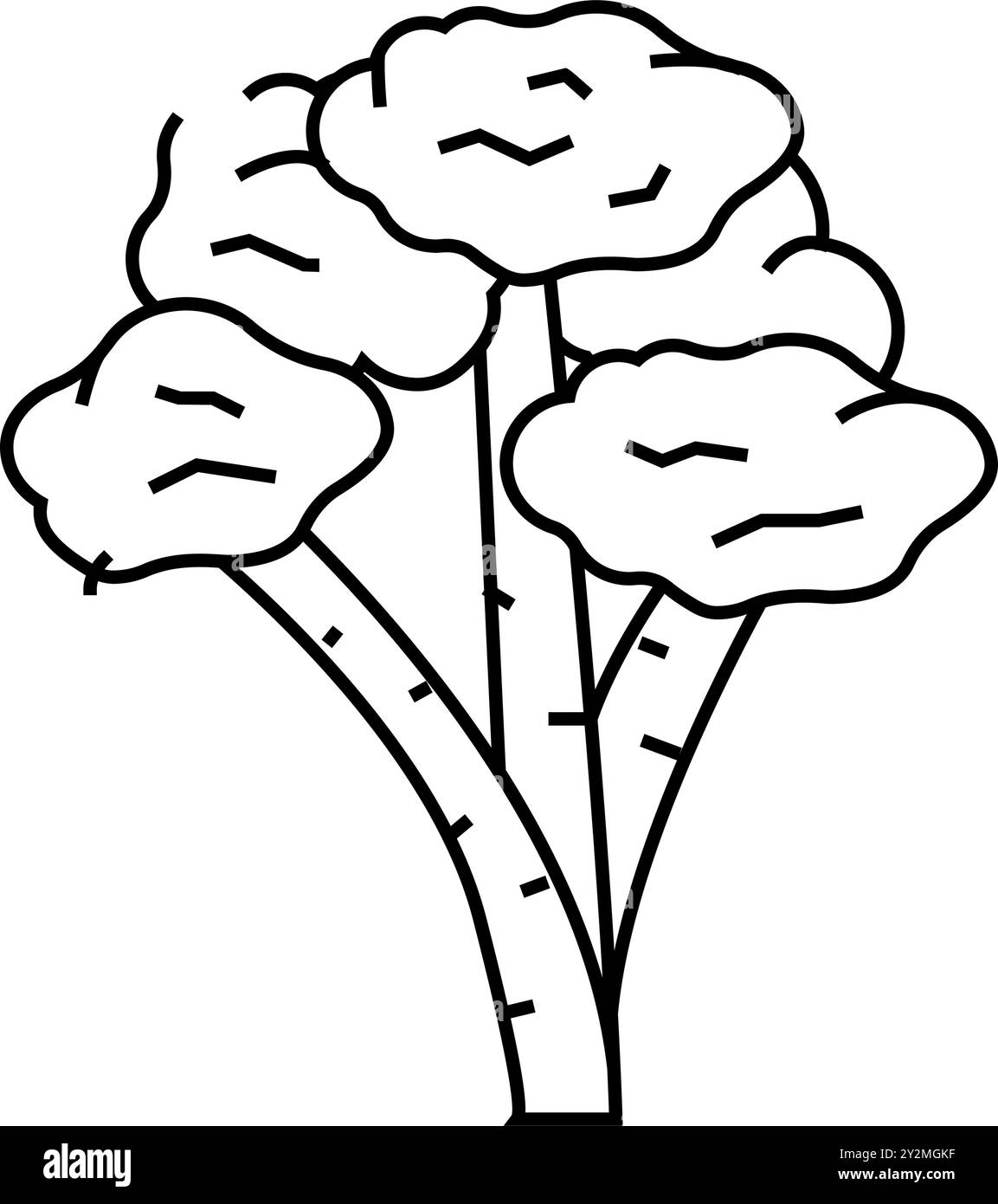 balsa jungle amazon line icon vector illustration Stock Vector Image ...