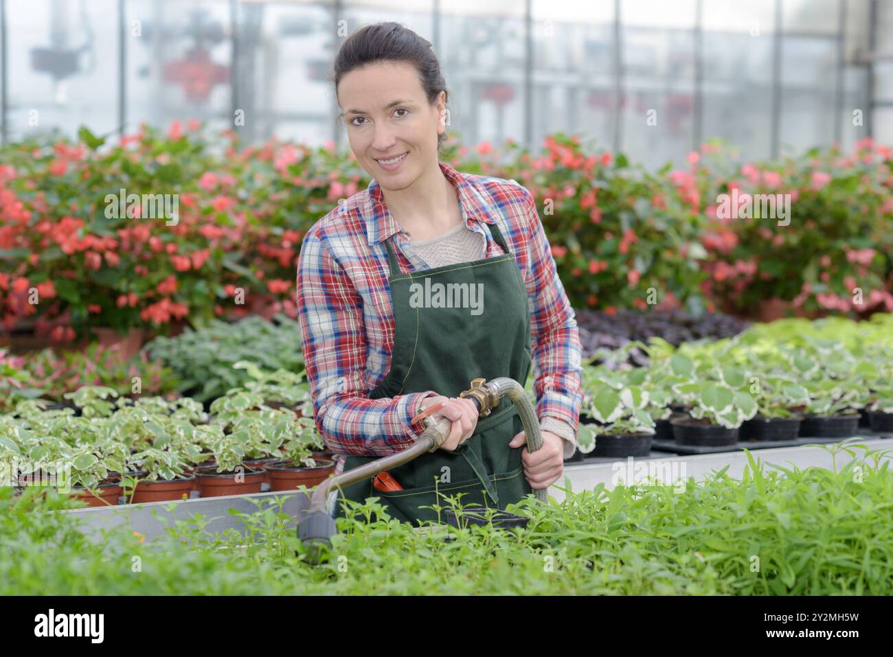 female gardener in uniform working with plants Stock Photo - Alamy