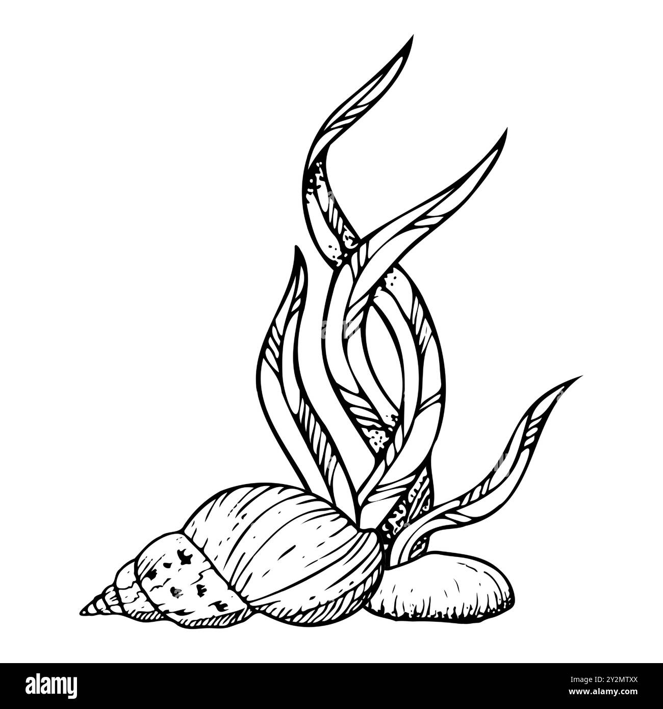 Spiral seashell with rock and seaweed on seabed black and white ink ...