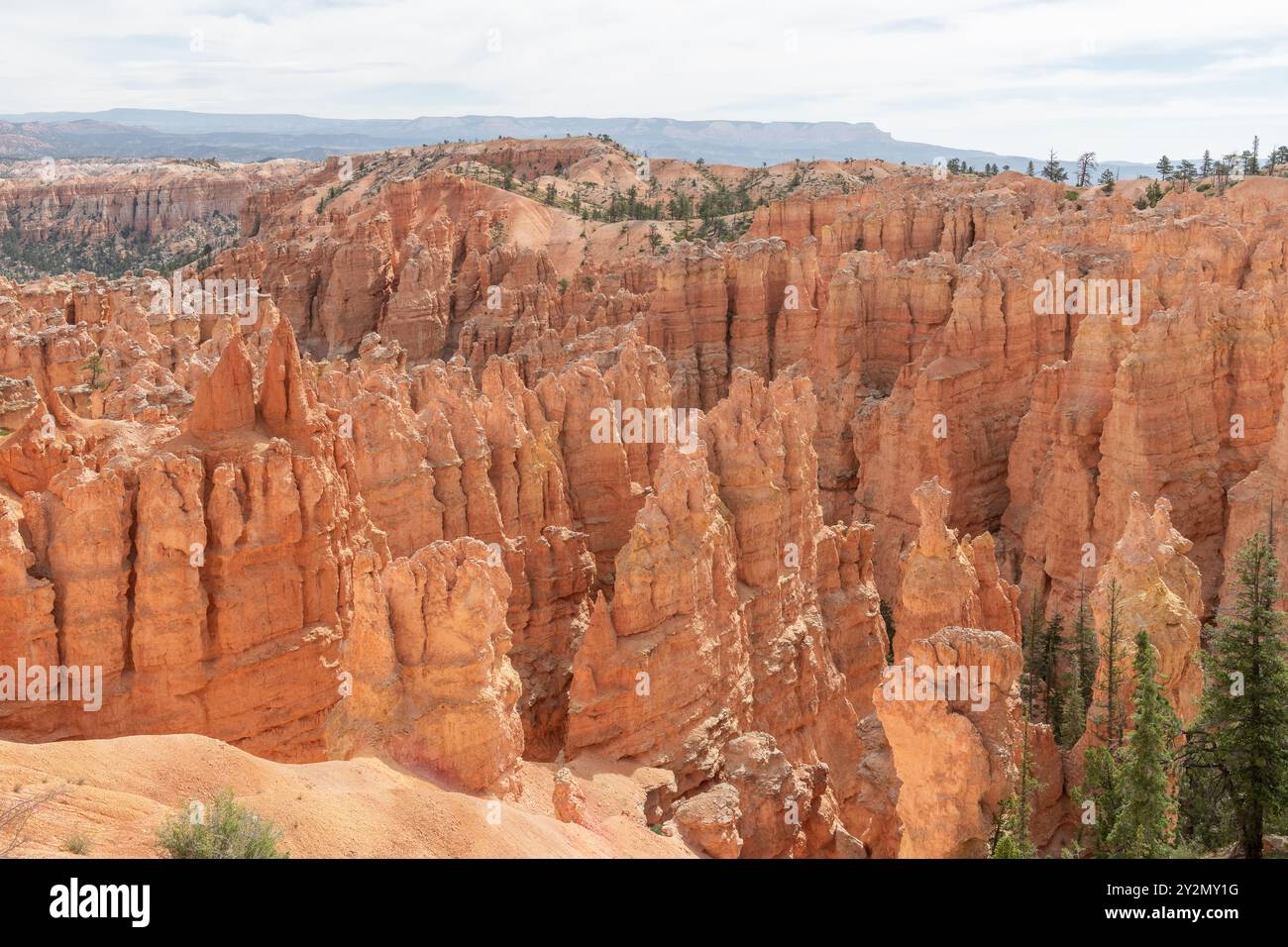Bryce Canyon from the Windows Trail, Utah, USA Stock Photo - Alamy