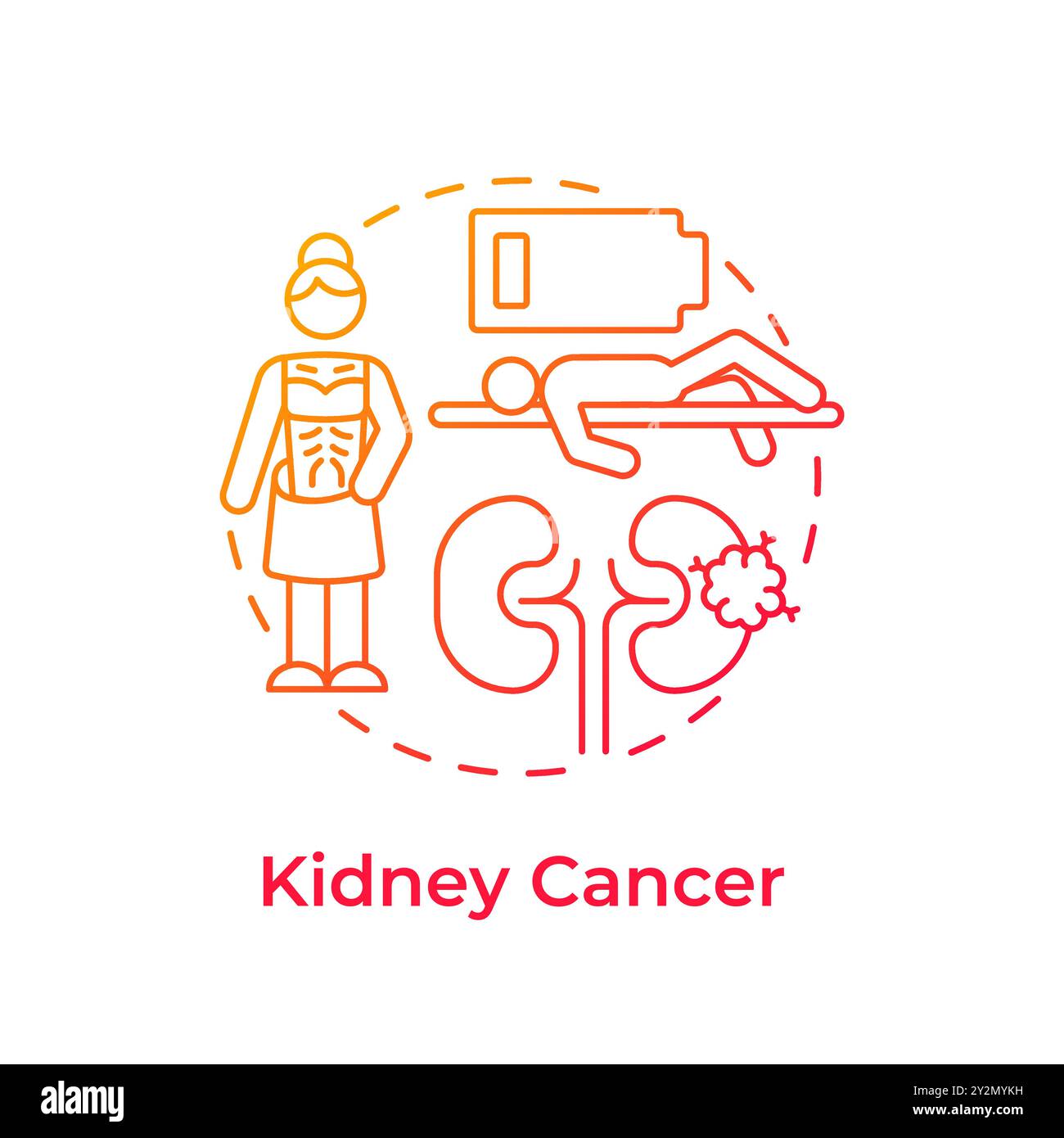 Kidney cells Stock Vector Images - Alamy