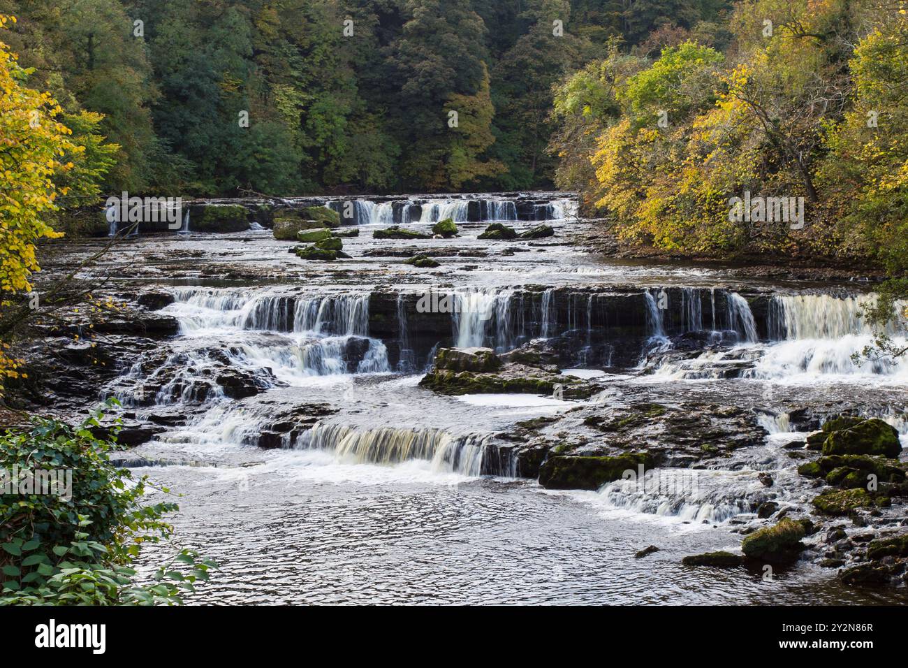 The Upper Falls at Aysgarth Falls, Wensleydale, North Yorkshire ...