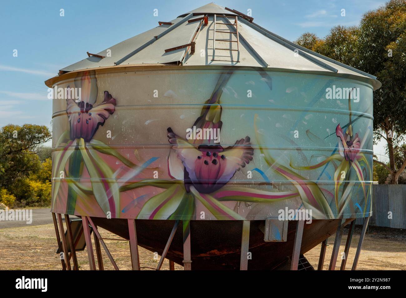 Spider Orchid Mobile Silo Art by Andrew Bourke, Woomelang, Victoria ...