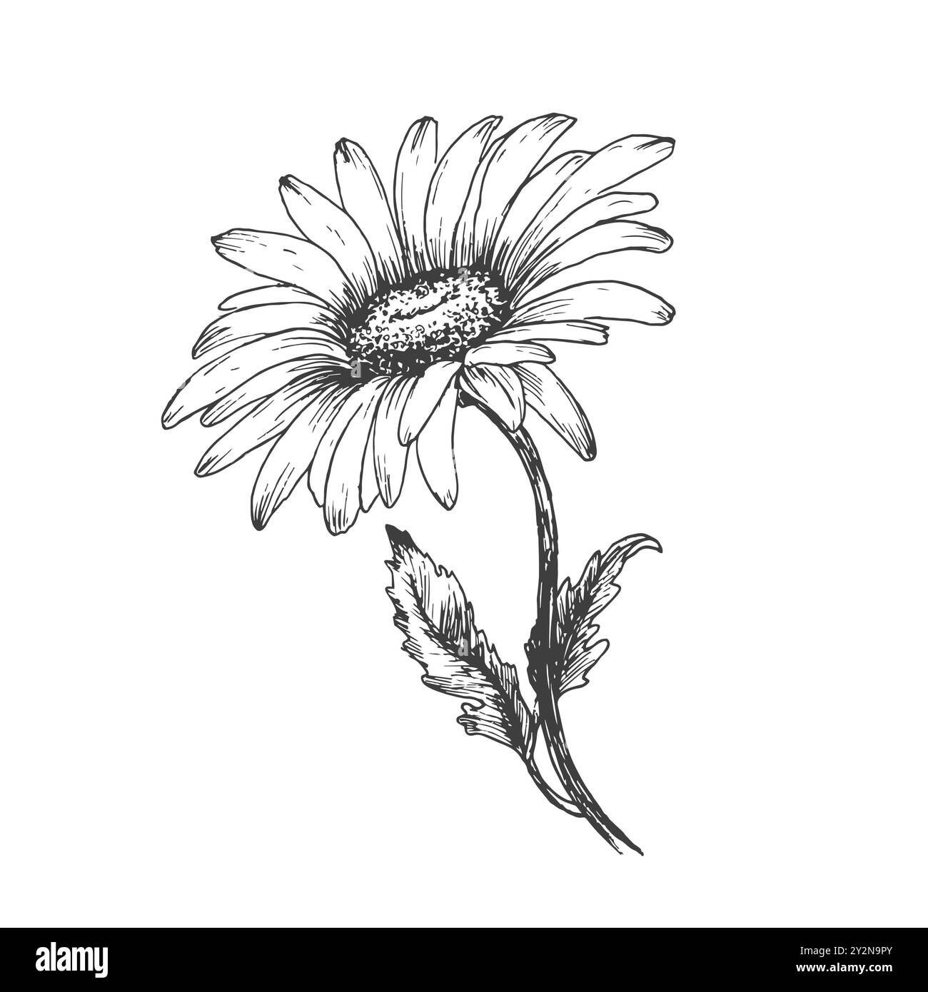 Ink sketch Stock Vector Images - Alamy