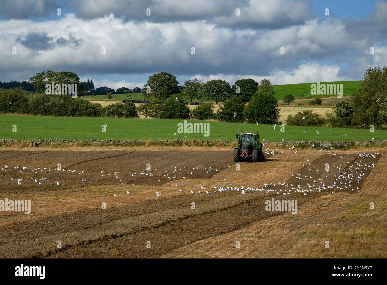 Front view of green utility tractor hi-res stock photography and images ...
