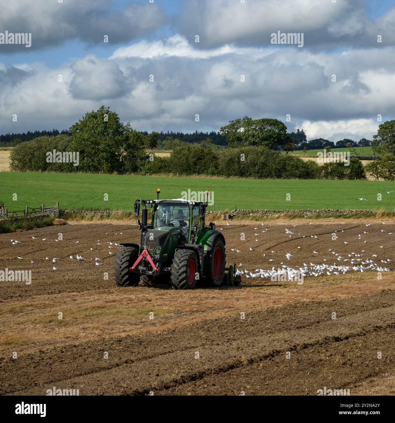 Green tractor working, preparing land (farmer in cab, surface tillage ...