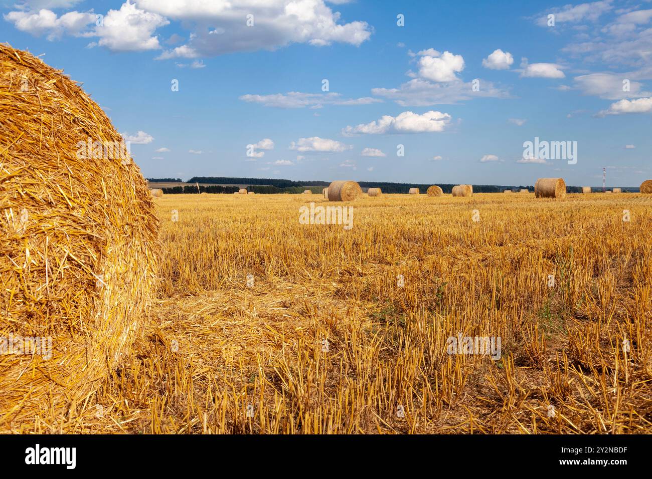 Stacks of wheat hi-res stock photography and images - Alamy