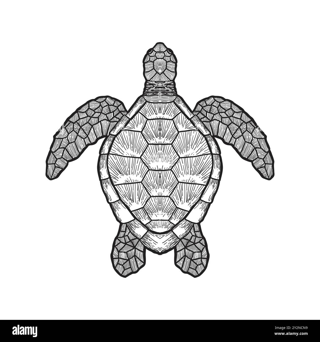 sea turtle outline isolated on white background, vector illustration ...
