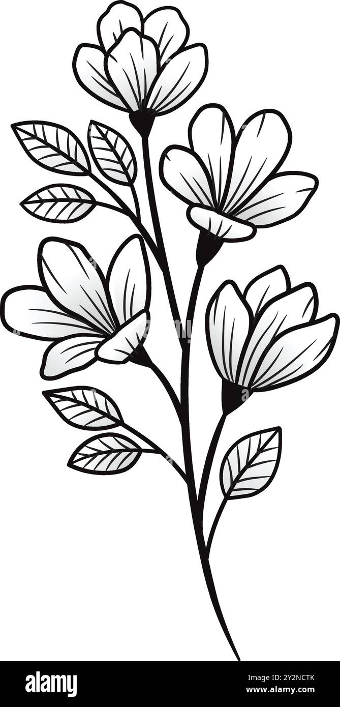 Philippine National Flower Sampaguita Drawing