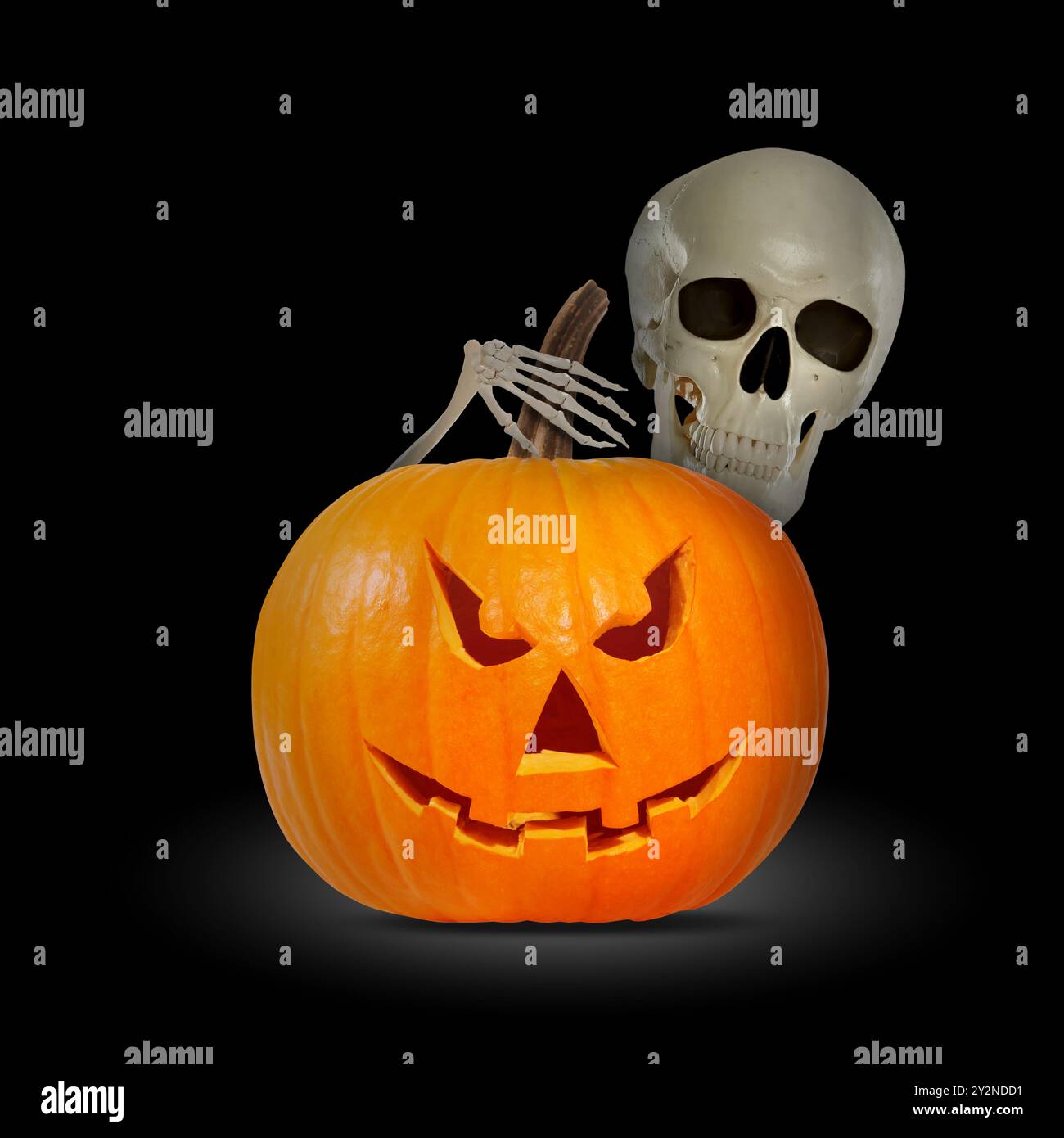 Scary skeleton touching spooky jack o'lantern on black background ...