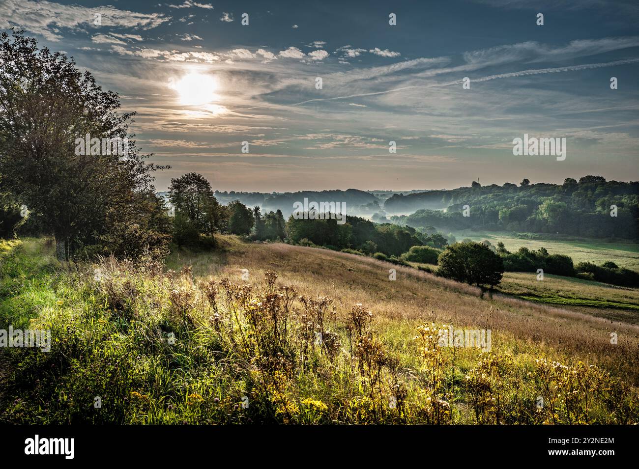 Rural landscape near Daugaard in Hedensted Denmark Stock Photo - Alamy