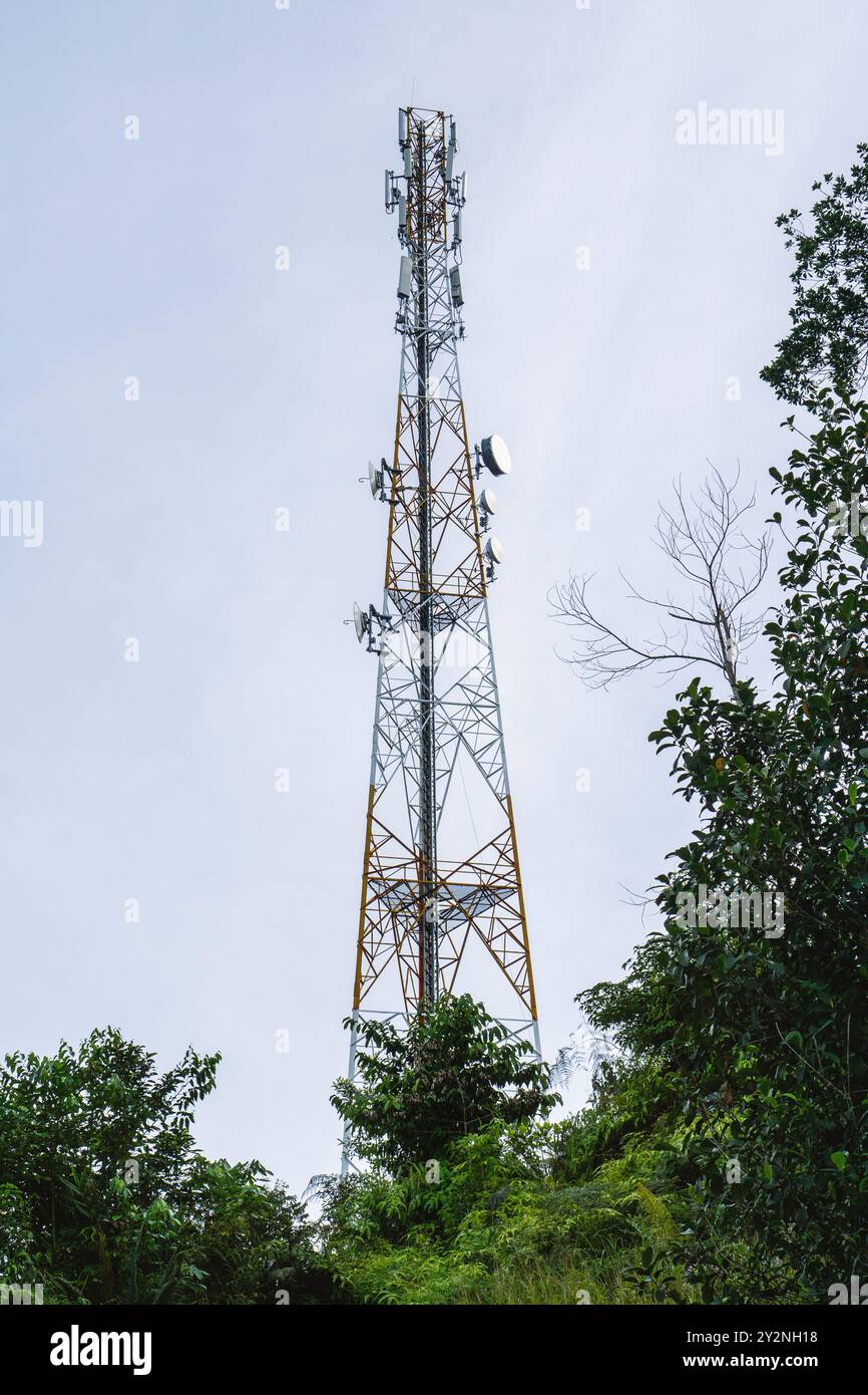 Tall cellular communication tower rises hi-res stock photography and ...