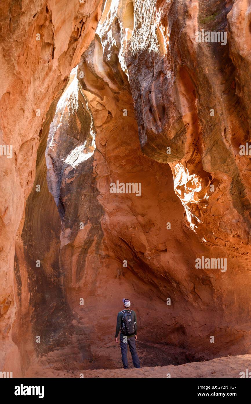 A male hiker stands in awe, gazing at the towering red rock formations ...