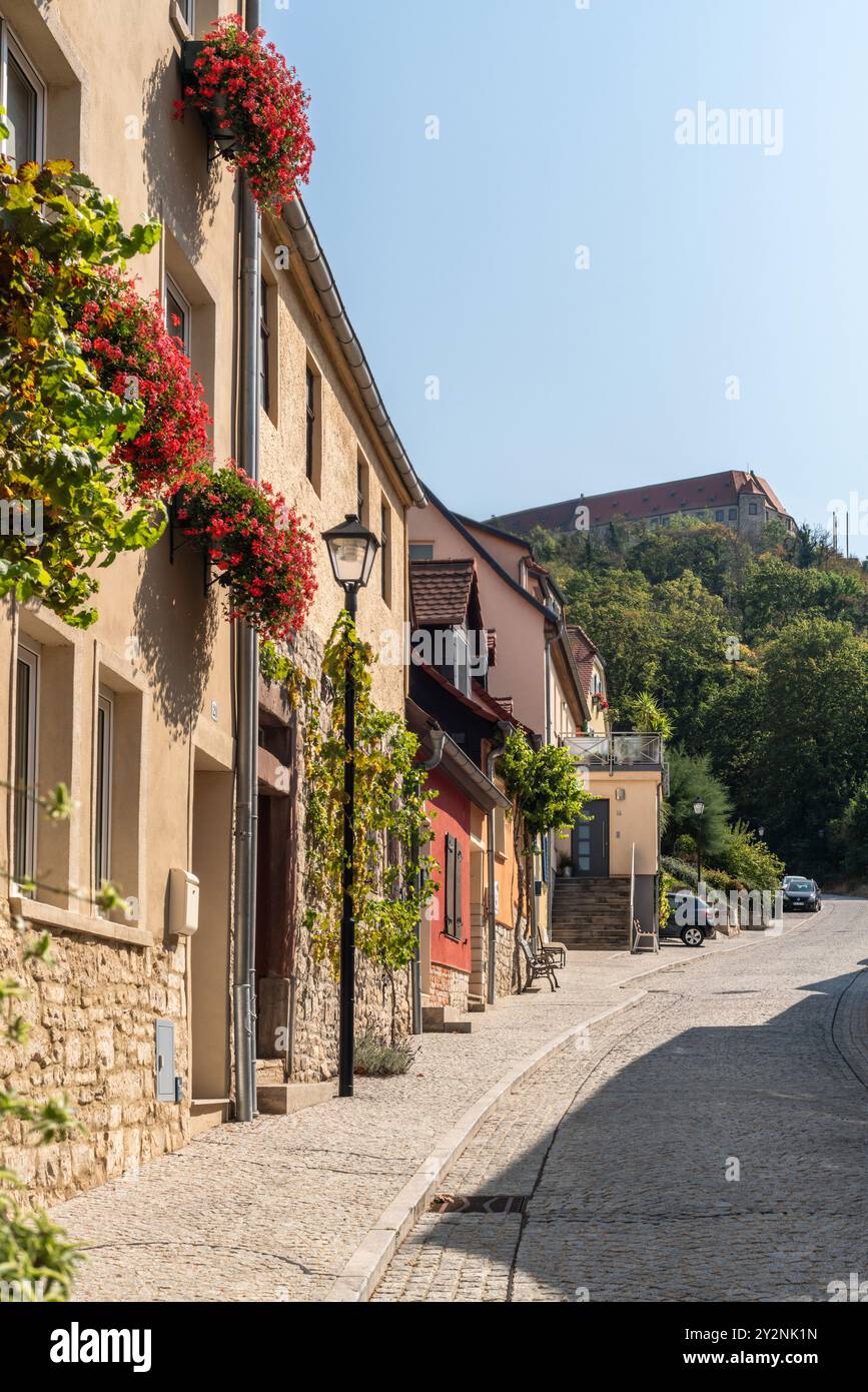 Freyburg Schloßstraße house facades view towards the Neuenburg Castle ...