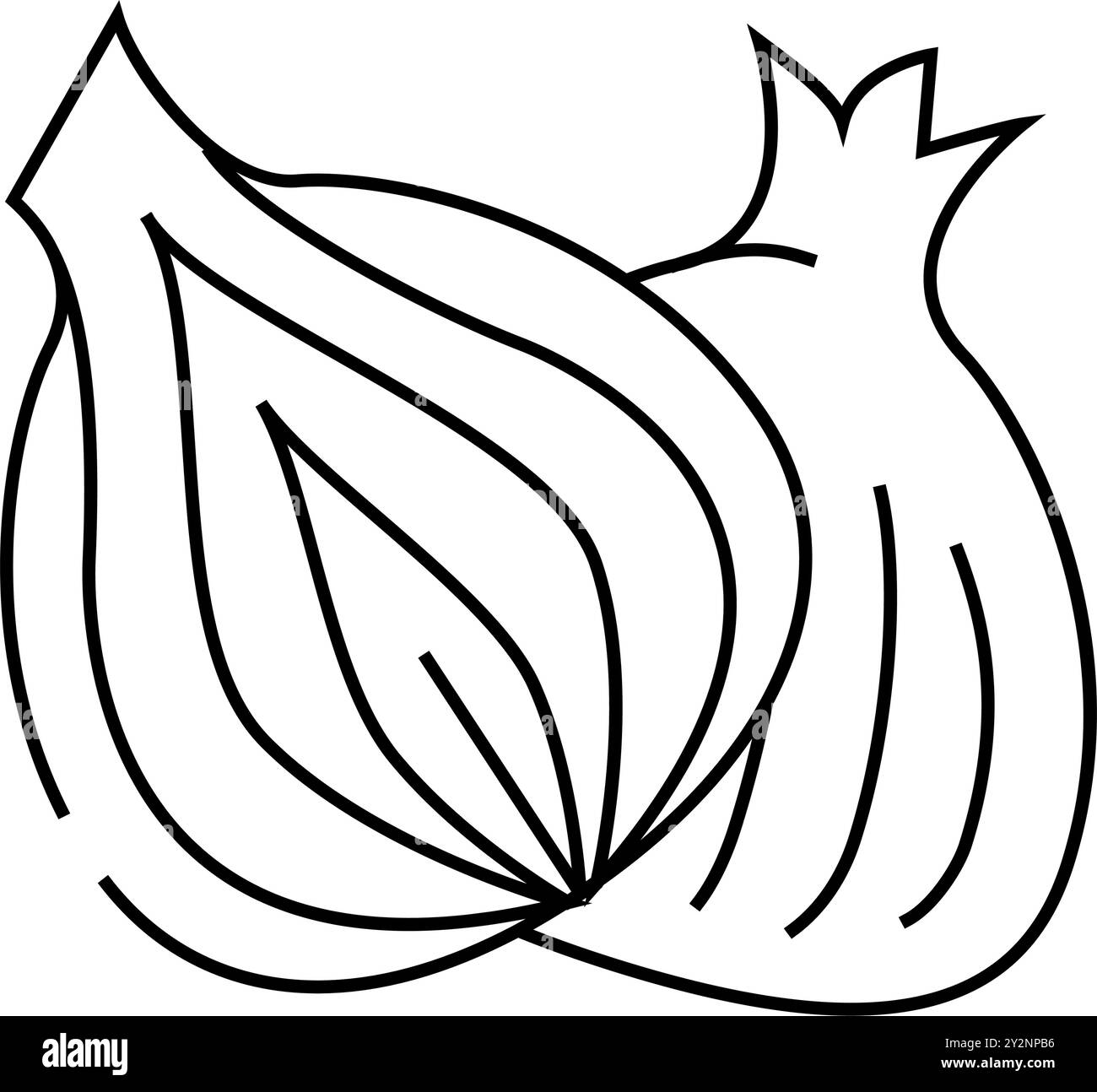 onion cut line icon vector illustration Stock Vector Image & Art - Alamy