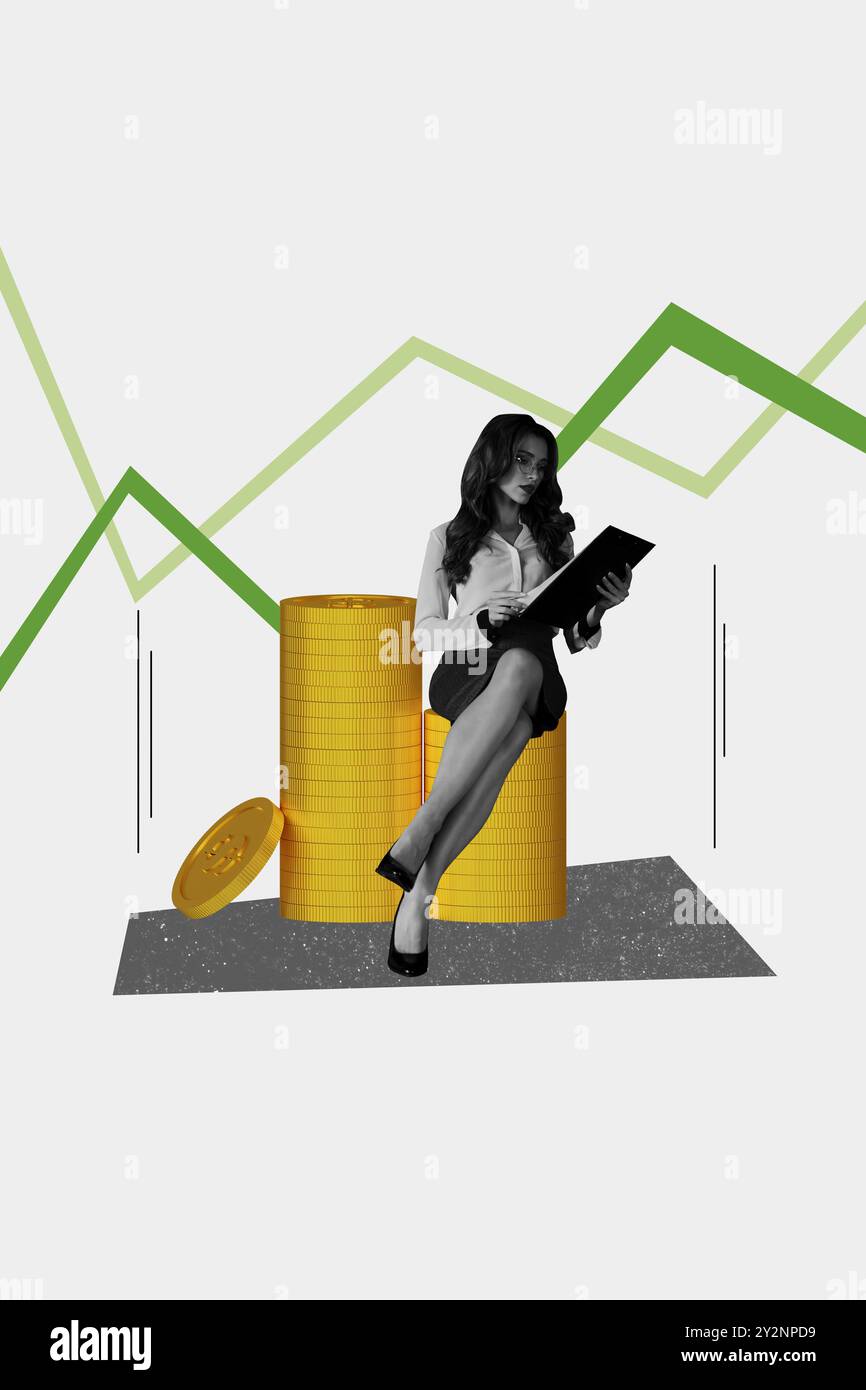 Vertical poster collage young businesswoman entrepreneur golden coins ...
