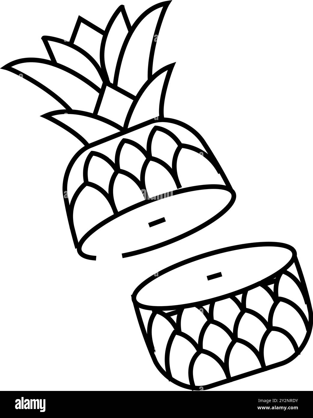Closeup fresh cut pineapple Black and White Stock Photos & Images - Alamy