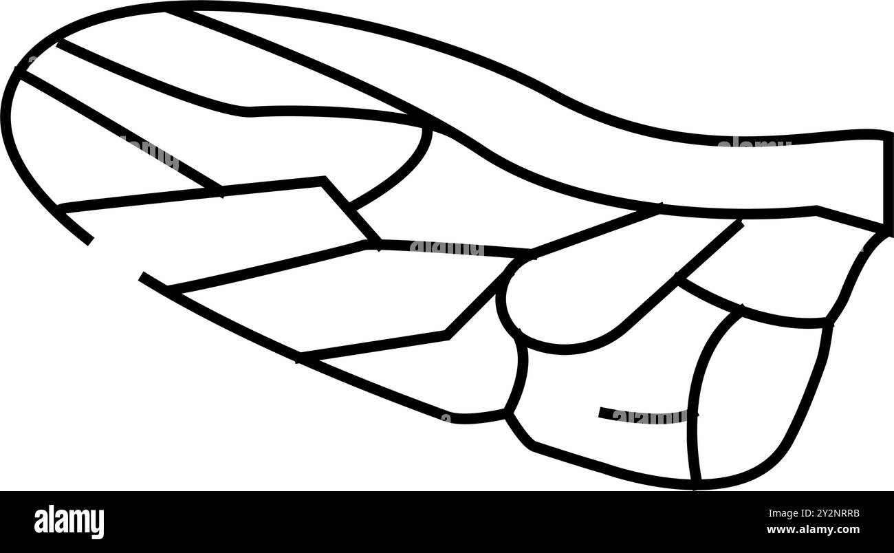 fly wing line icon vector illustration Stock Vector Image & Art - Alamy